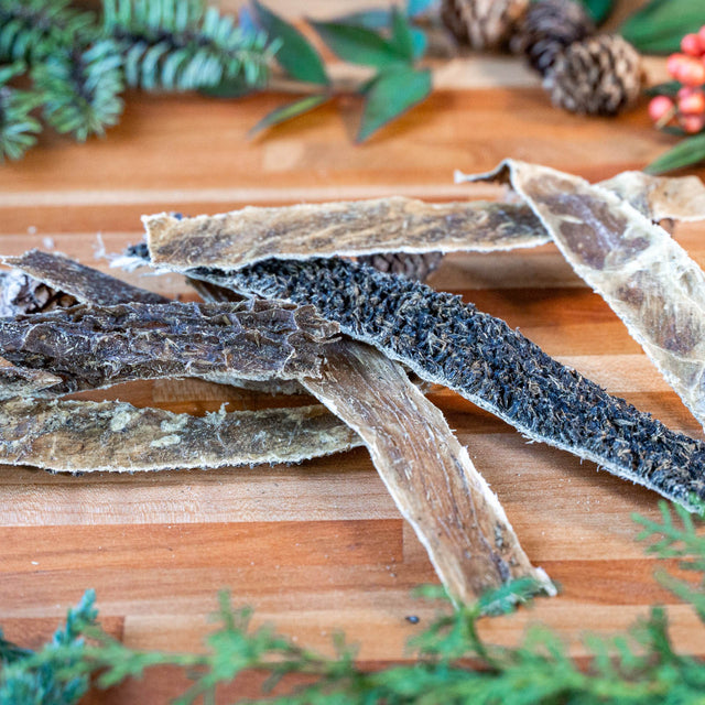 Dried green beef tripe – Petfood.it